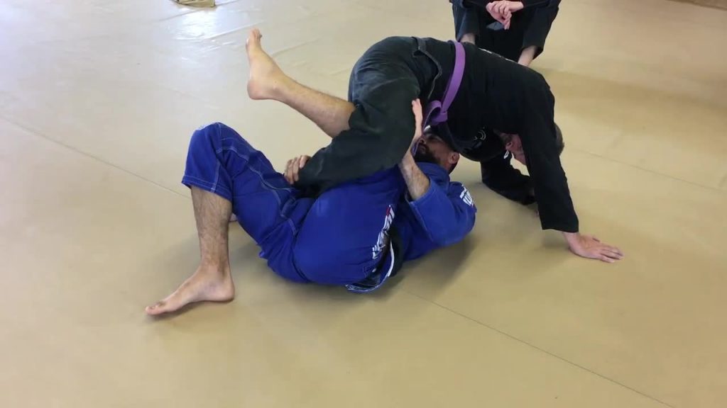 BJJ Bear Trap Leg Locks – The Forgotten Ashi Garami - BJJ World
