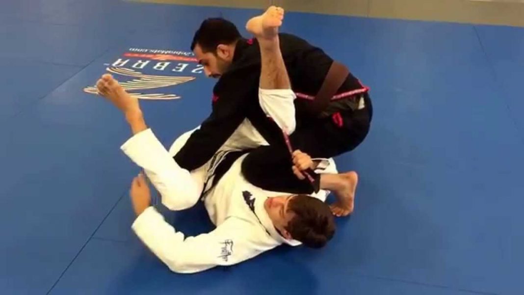 BJJ Lapel Guards Study: Which One Is The Best? - BJJ World