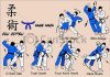 Jiu-Jitsu Vocabulary: Translating Common BJJ Japanese Terms - BJJ World