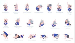 60+ Brazilian Jiu Jitsu Submissions - BJJ World