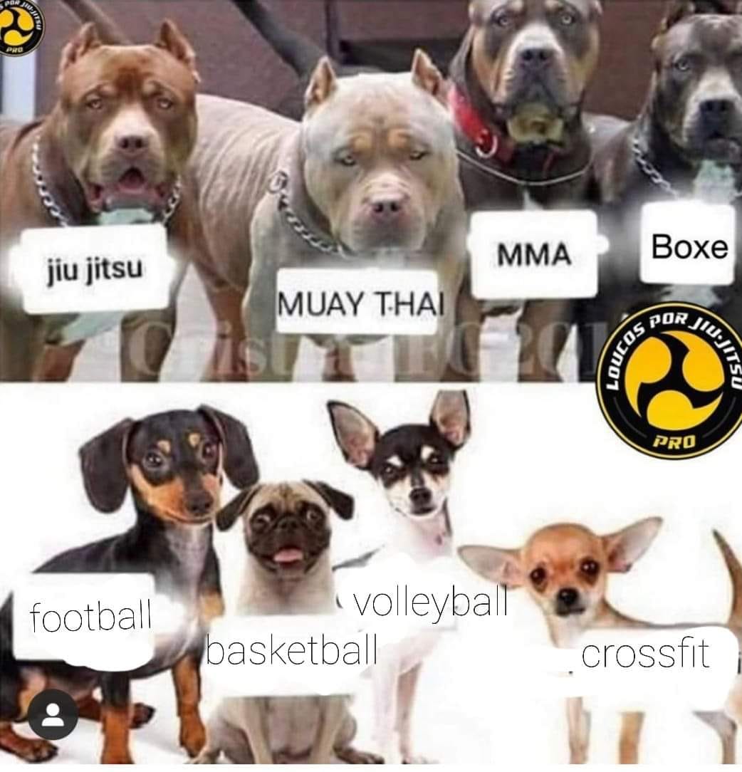 Brazilian Jiu Jitsu Memes To Motivate or Make You Smile - BJJ World