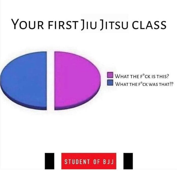 Brazilian Jiu Jitsu Memes To Motivate or Make You Smile - BJJ World