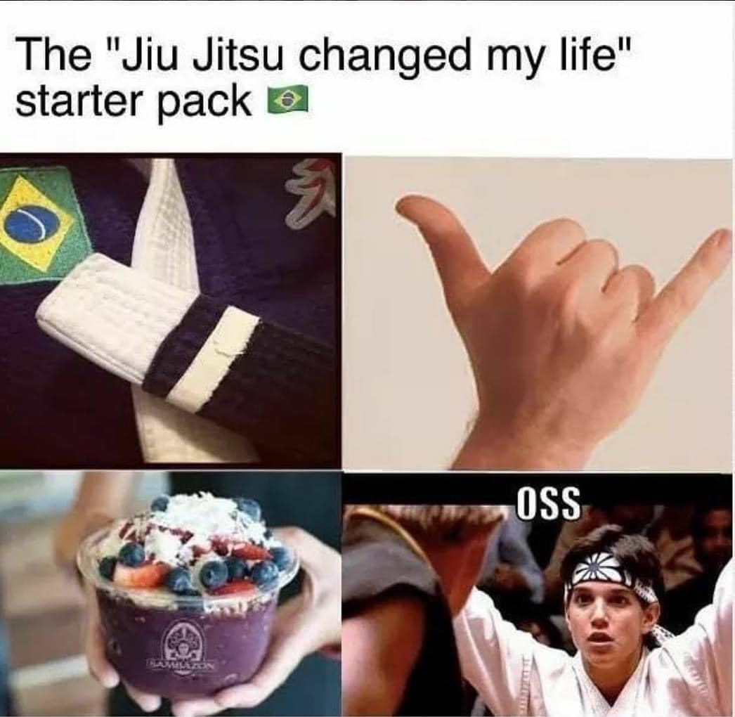 Brazilian Jiu Jitsu Memes To Motivate or Make You Smile - BJJ World