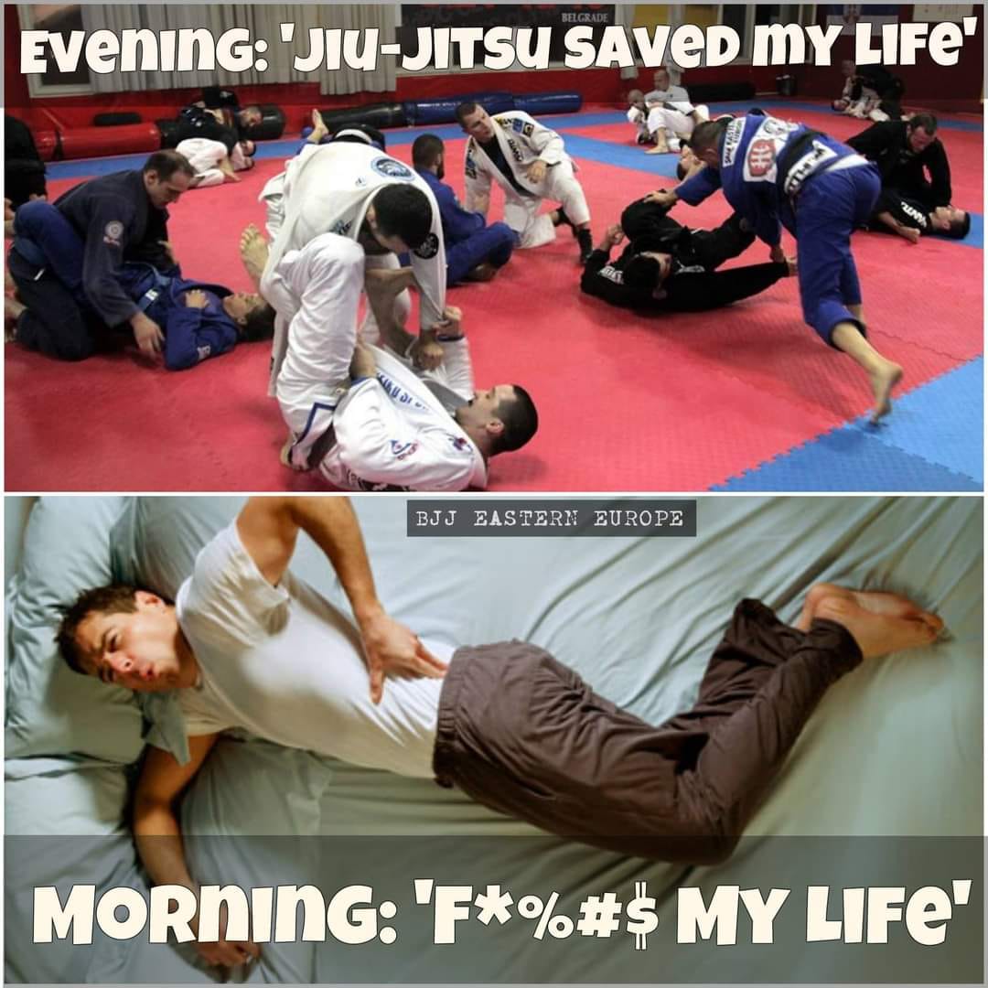 Brazilian Jiu Jitsu Memes To Motivate or Make You Smile - BJJ World