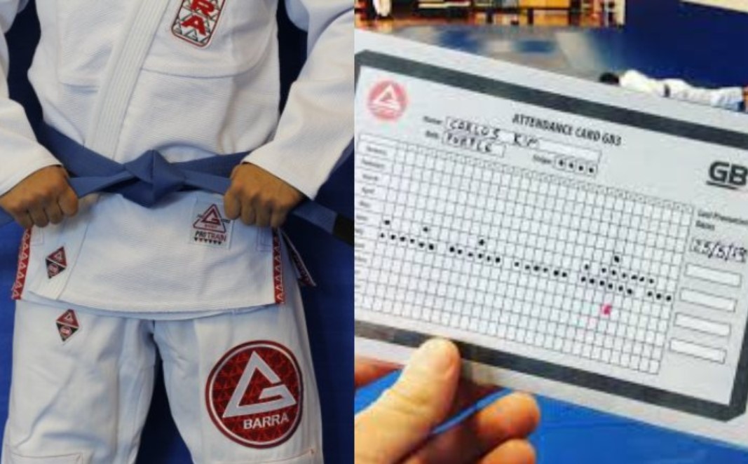 BJJ McDojo Gyms EXPOSED by Former Instructor - BJJ World