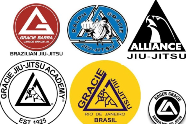 Key Differences Of The Most Famous Schools of Jiu-Jitsu - BJJ World
