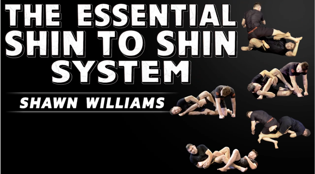Essential Shin To Shin System Shawn Williams DVD Review [2025] - BJJ World